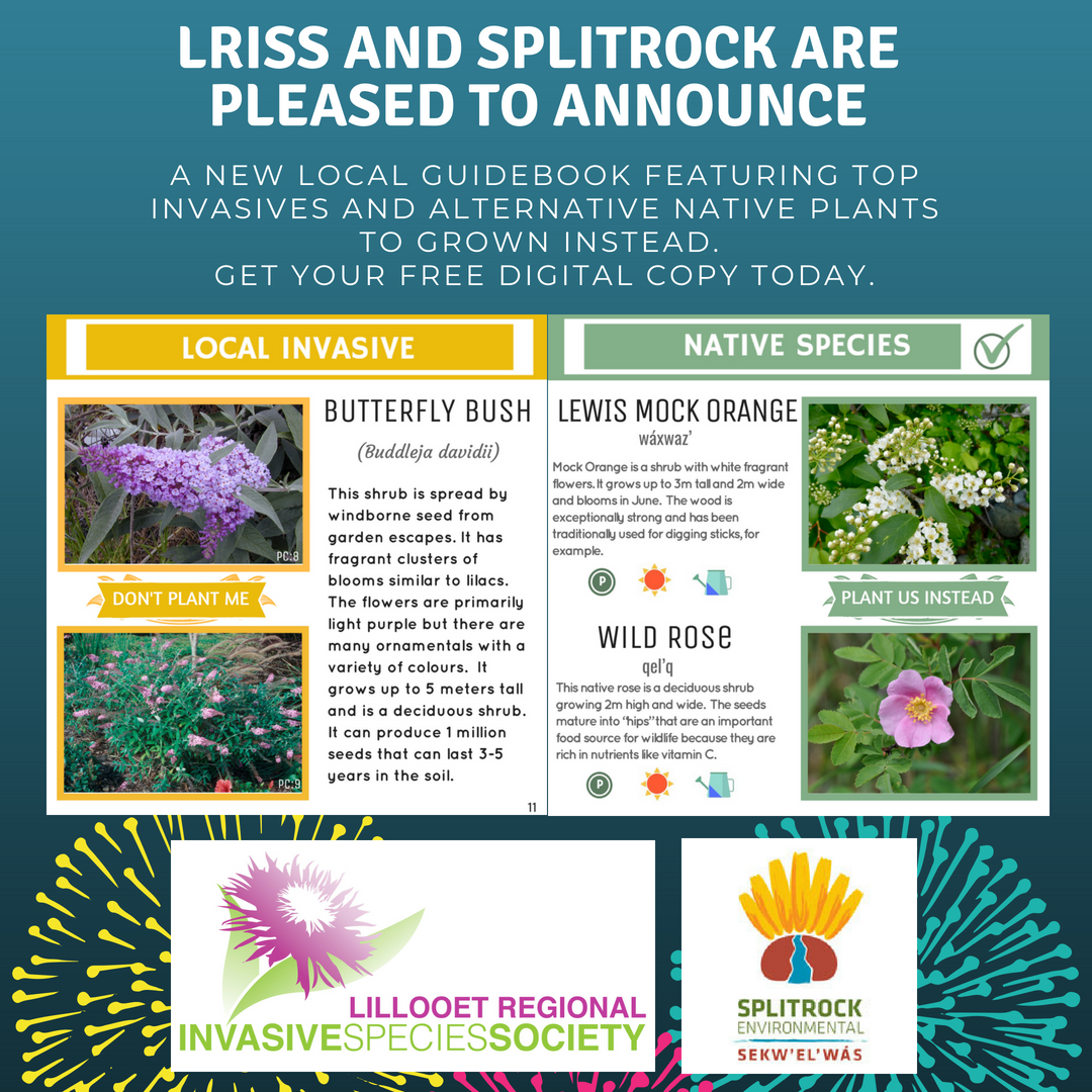 Splitrock Environmental (@SplitrockEnv) | Twitter