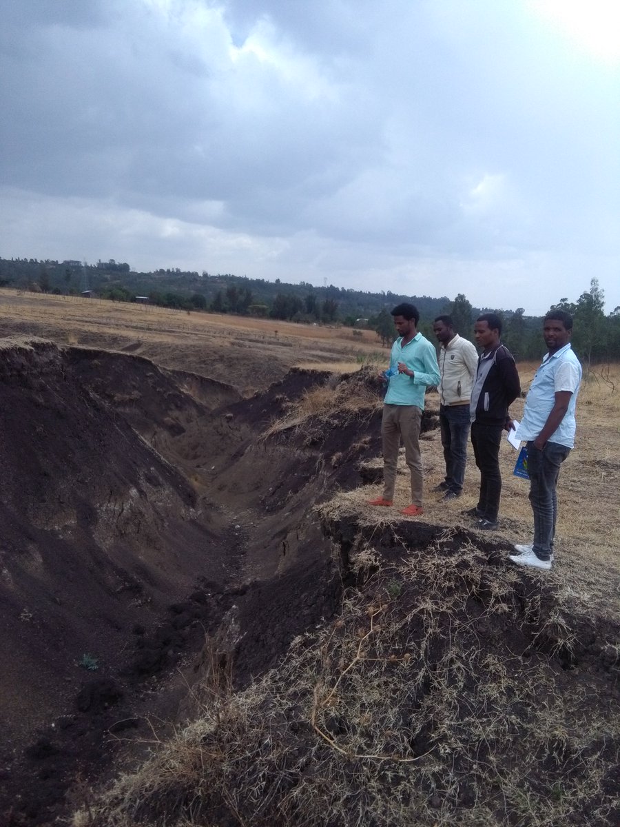 Tekalign Ma (@tekaligntafese) | Twitter