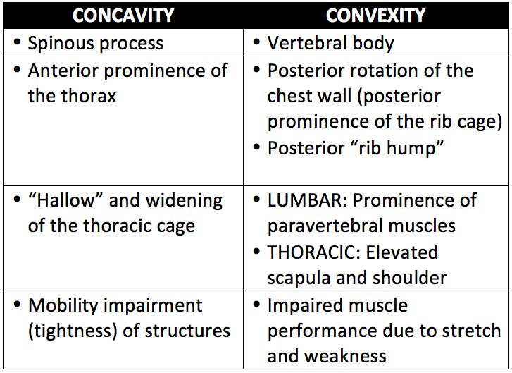 Concave Vs Convex