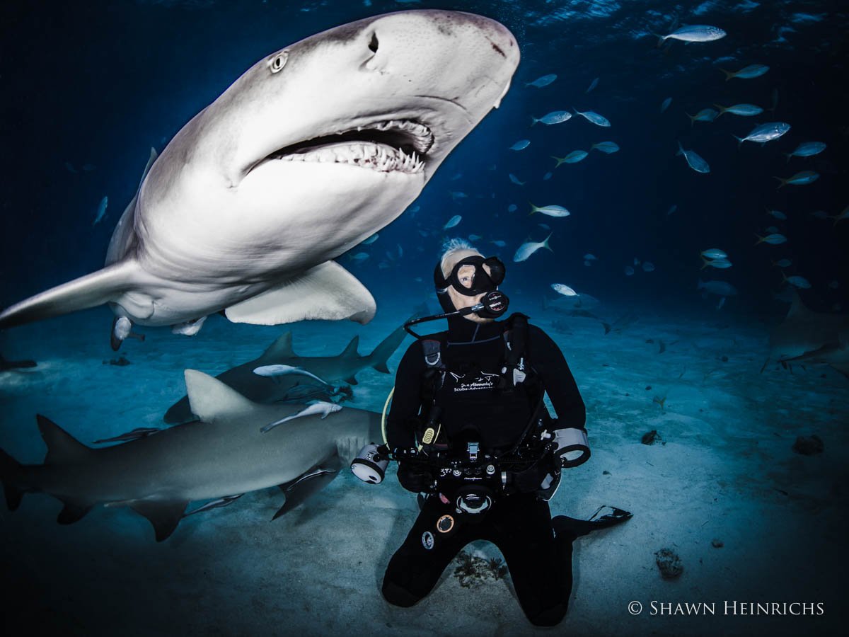 best katalyst (@best_katalyst) | Twitter