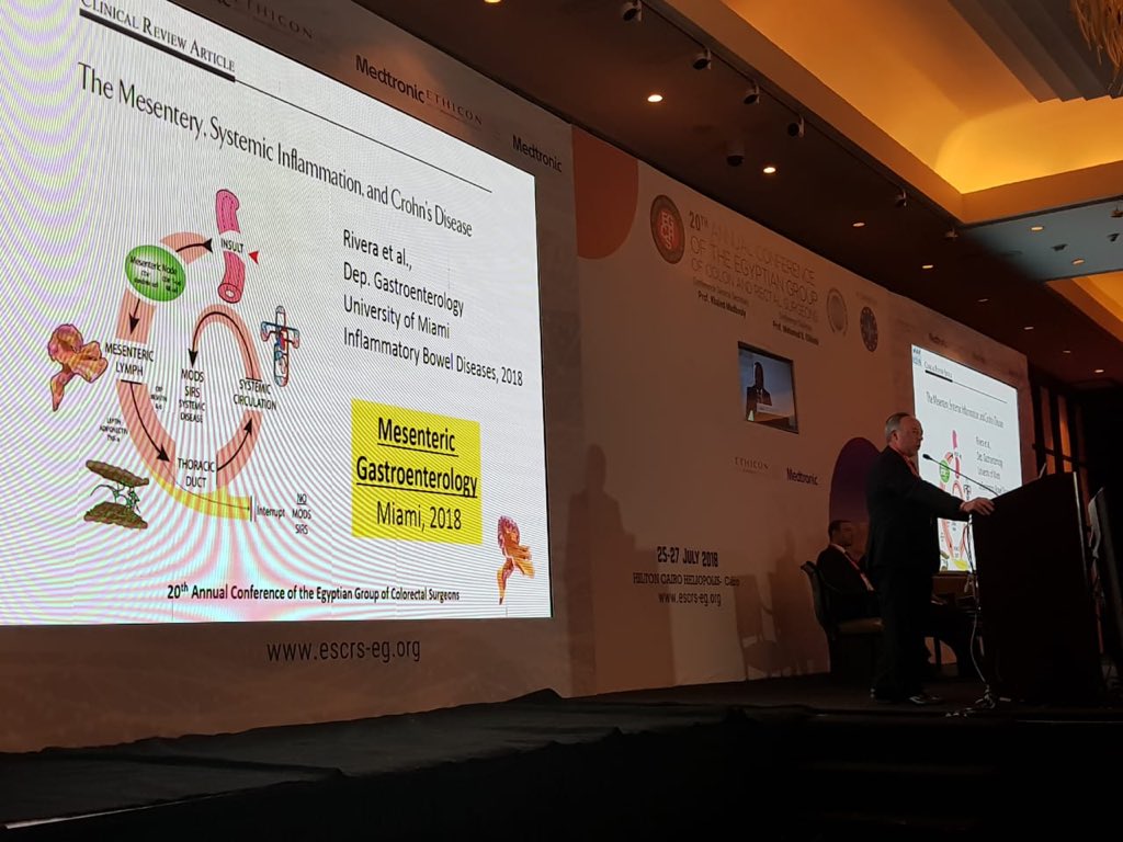 Ayman Azzam (@AymanAzzam18) | Twitter