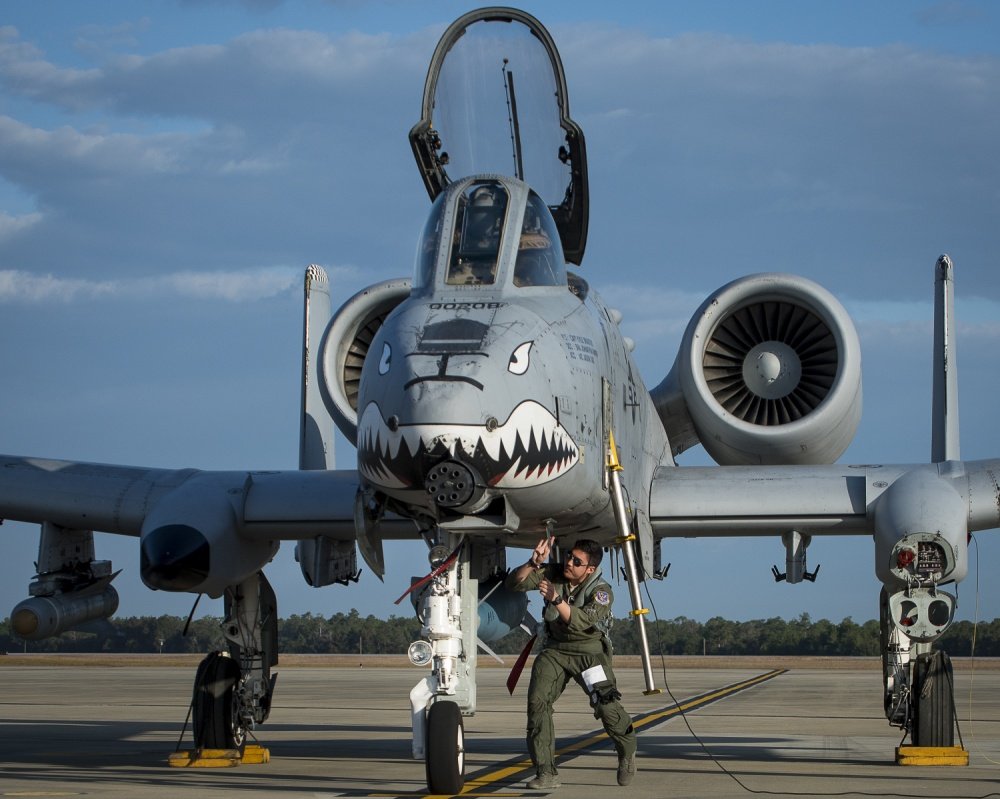 A 10 Warthog Shark Plane