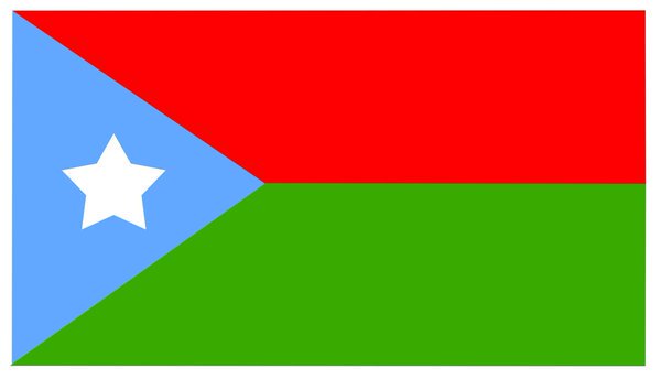 Balochistan Liberation Front Flag