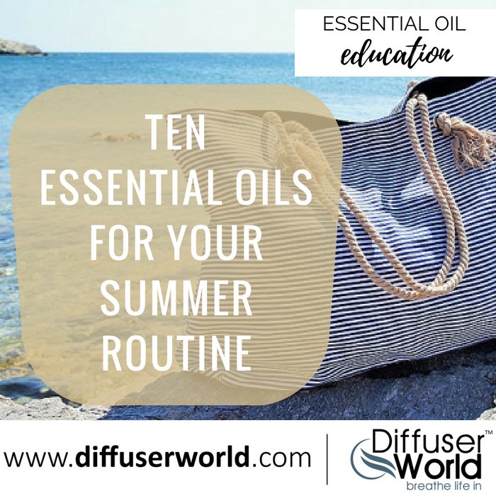 Diffuser World Oil Diffusers (@DiffuserWorldUS) | Twitter