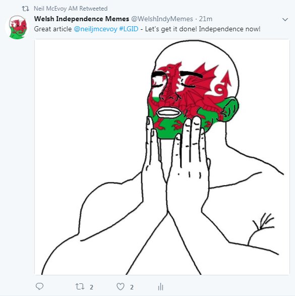 Anti Welsh Memes Lawyers Launch UK's First Animal Protection Law Firm