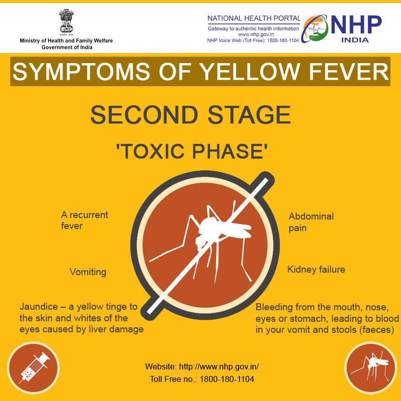 Yellow Fever Bleeding