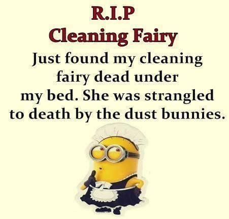 Hilarious Clean Quotes I Feel Like I Should Clean The House