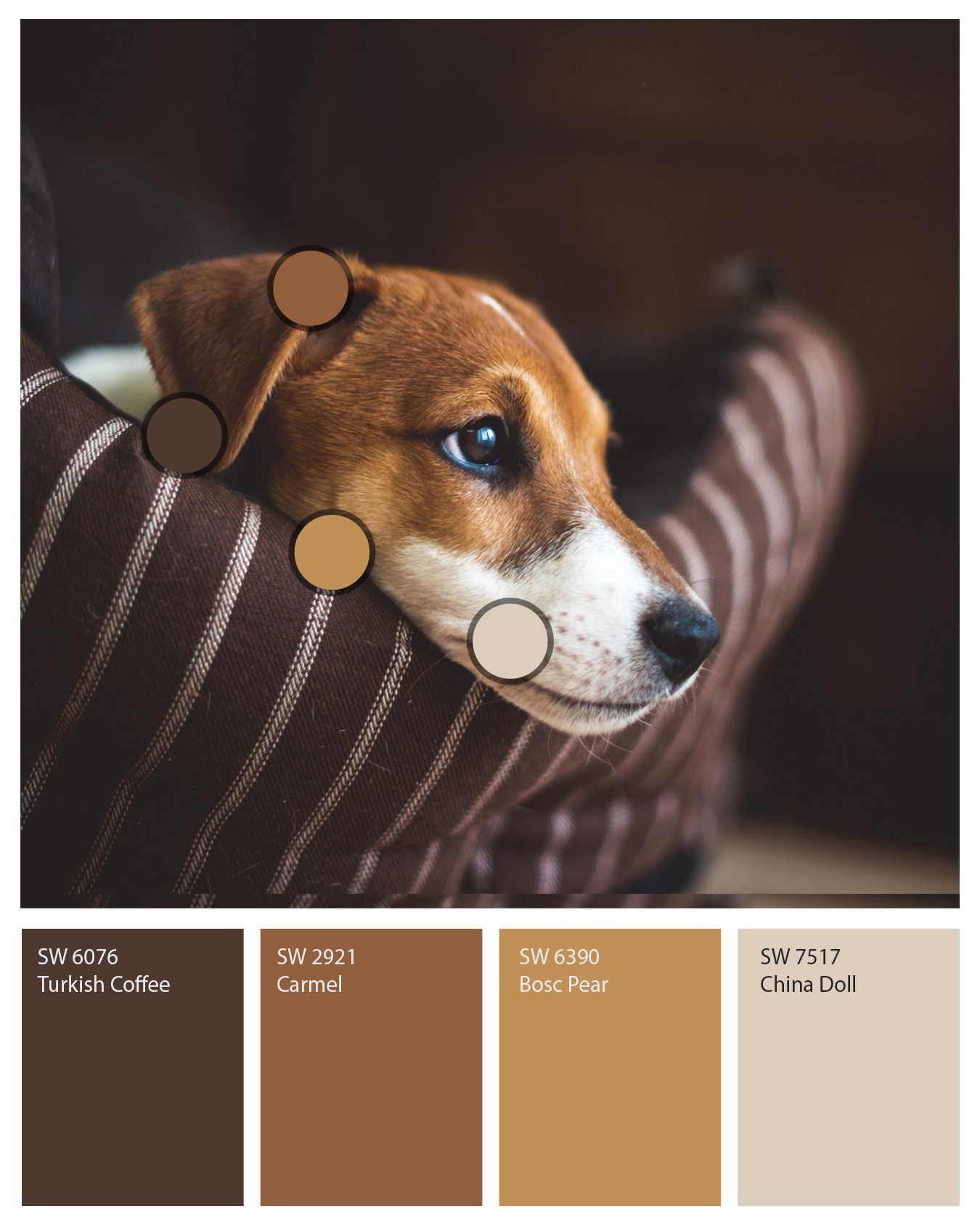 Sherwin Williams Bosc Pear