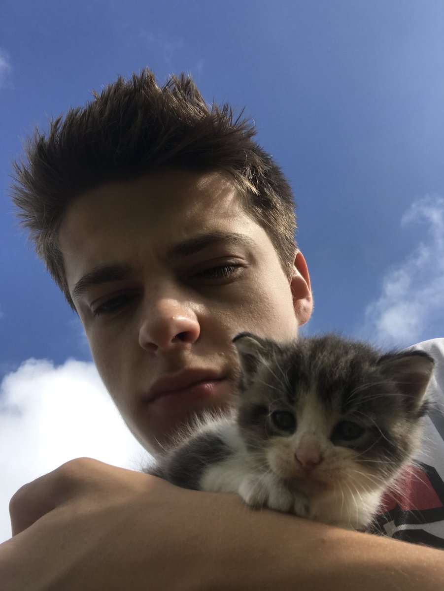 Corey Fogelmanis On Twitter Just Woke Up…