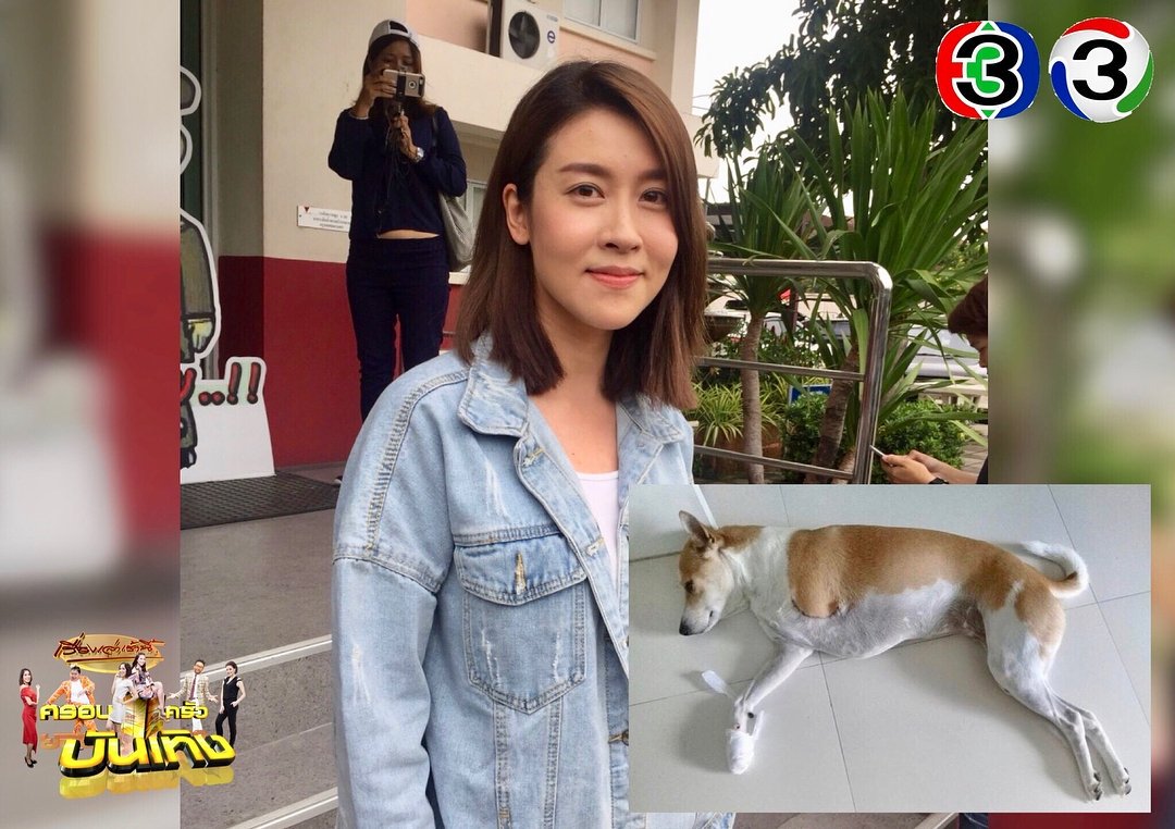 뿜뿌이 (@pum__pumpui) | Twitter