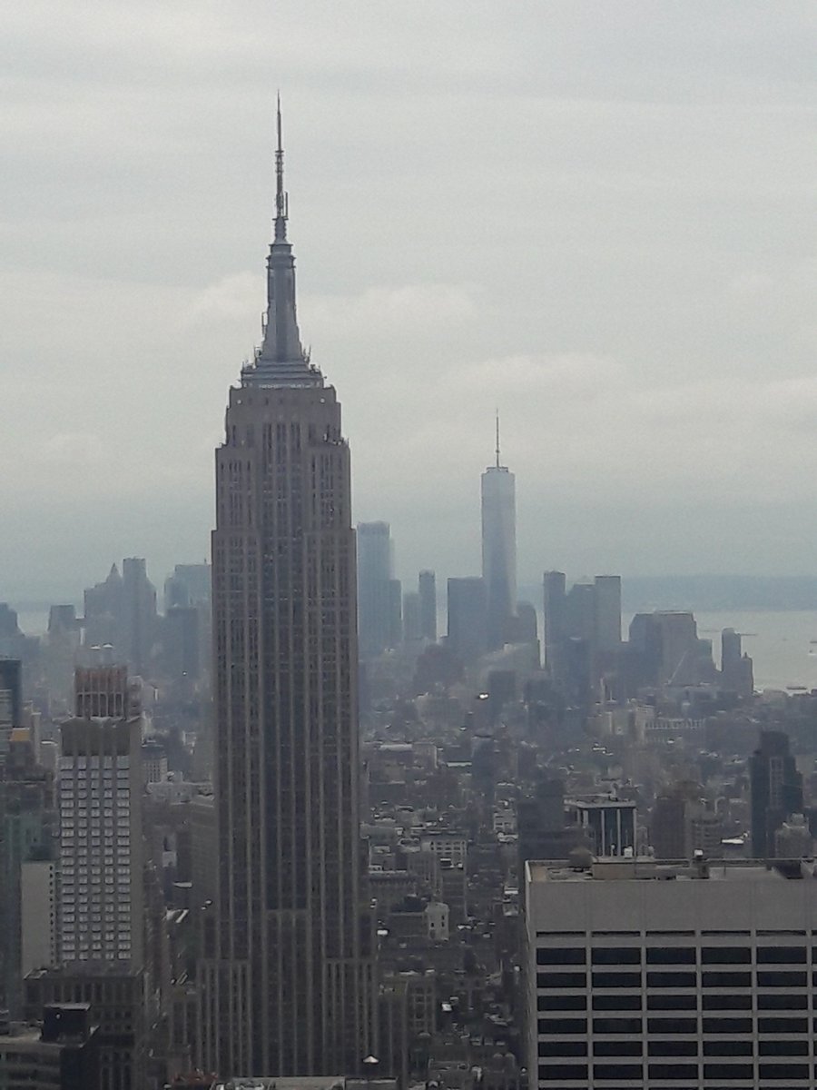 Gavin Gray Gavingray Twitter