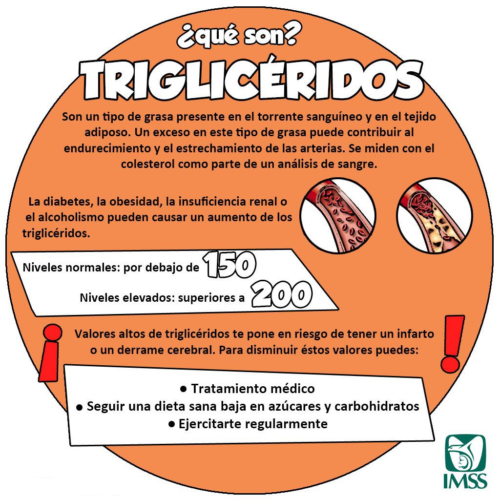 triglicéridos: todas las noticias de última hora, fotos y vídeos en ...