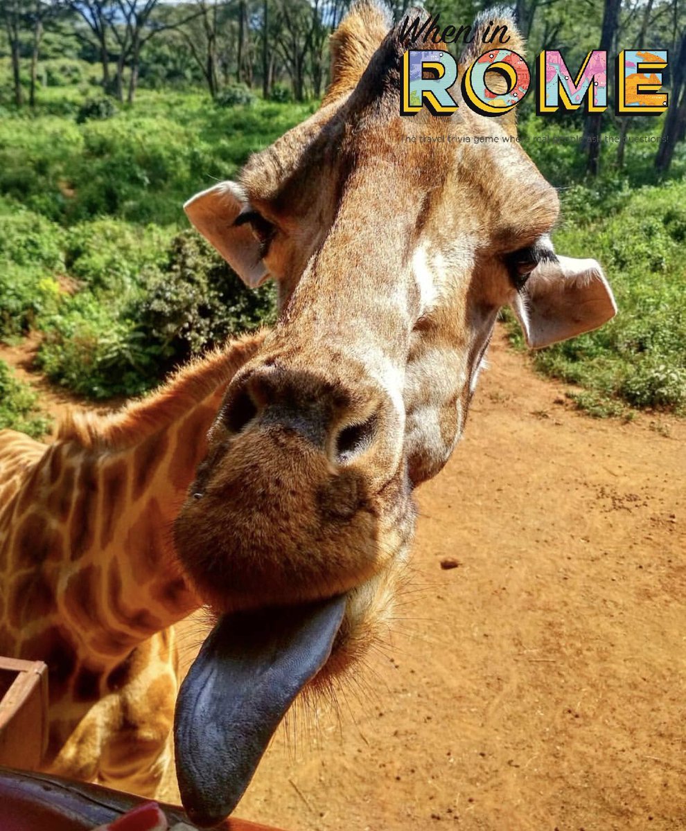 Sensible Object (@sensibleob) | Twitter