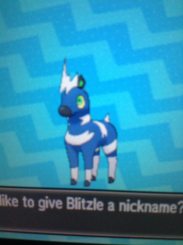 Shiny Blitzle