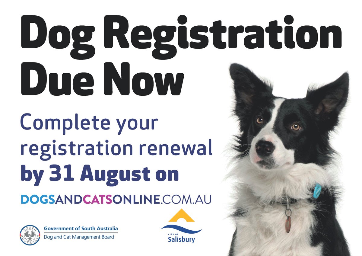 How Much Is It To Register A Dog Sa