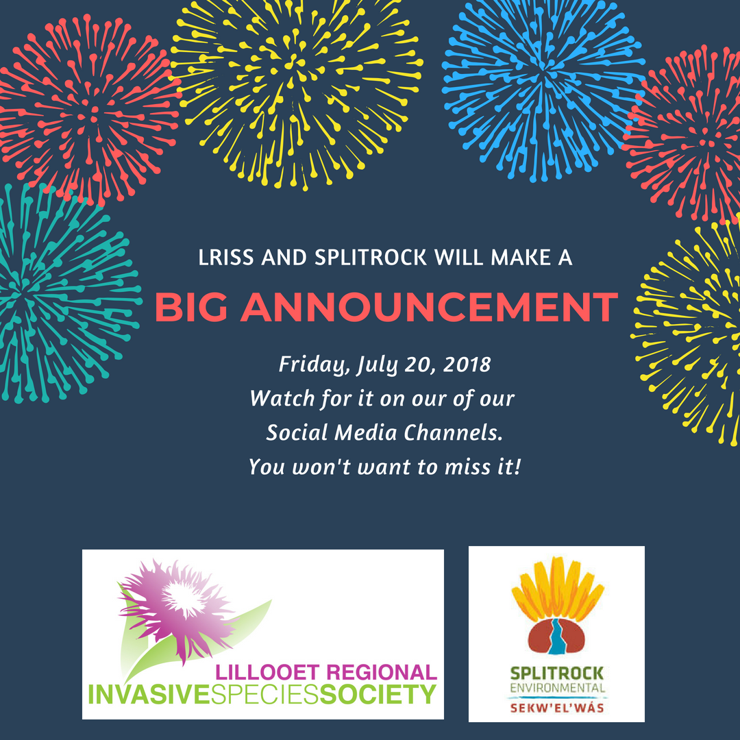 Splitrock Environmental (@SplitrockEnv) | Twitter