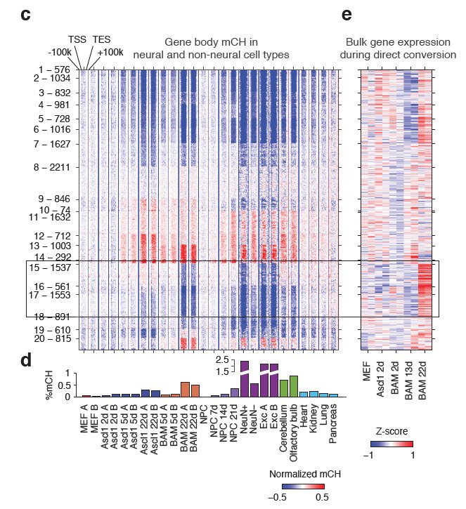 Ralf Gilsbach (@Ralf_Gilsbach) | Twitter