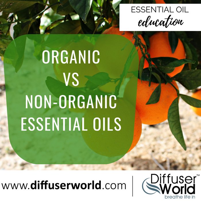 Diffuser World Oil Diffusers (@DiffuserWorldUS) | Twitter