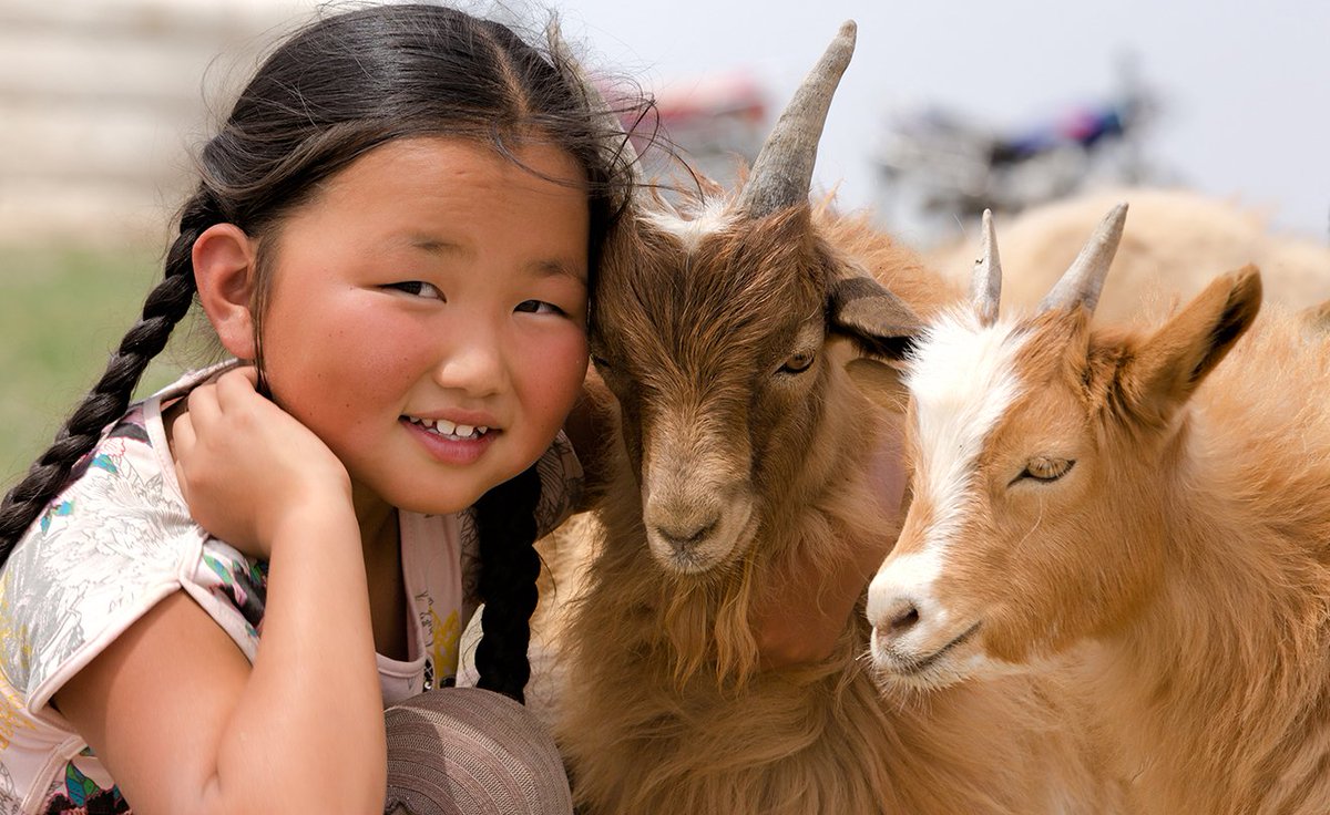 Cute Mongolian Children