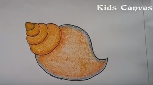 How To Draw A Conch Shell
