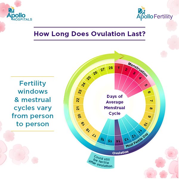 Menstrual Cycle Chart Fertile Days