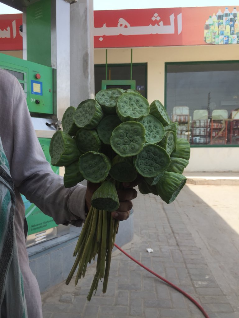 Noman Khan NK® (@nomankhank) | Twitter