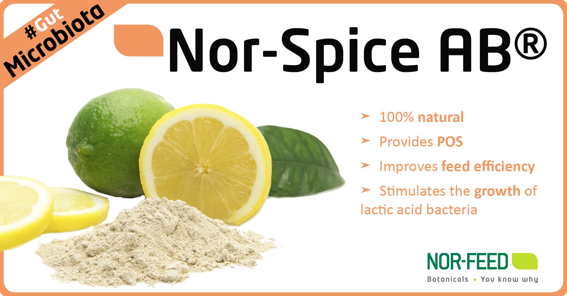 Nor-Feed on Twitter: "Nor-Spice AB, the citrus extract feed additive, ally of the #microbiota. # ...