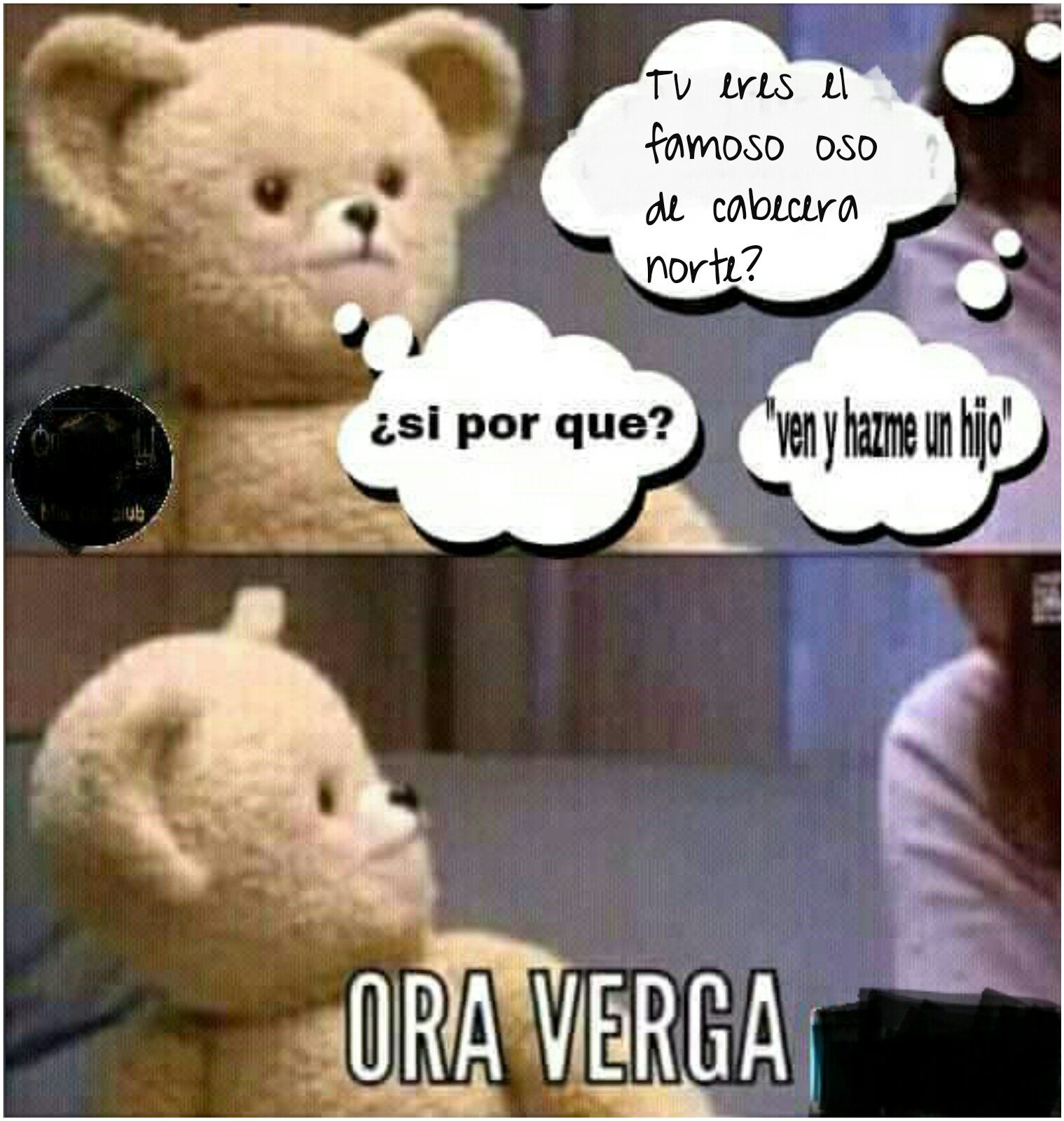 Memes Del Oso Ora