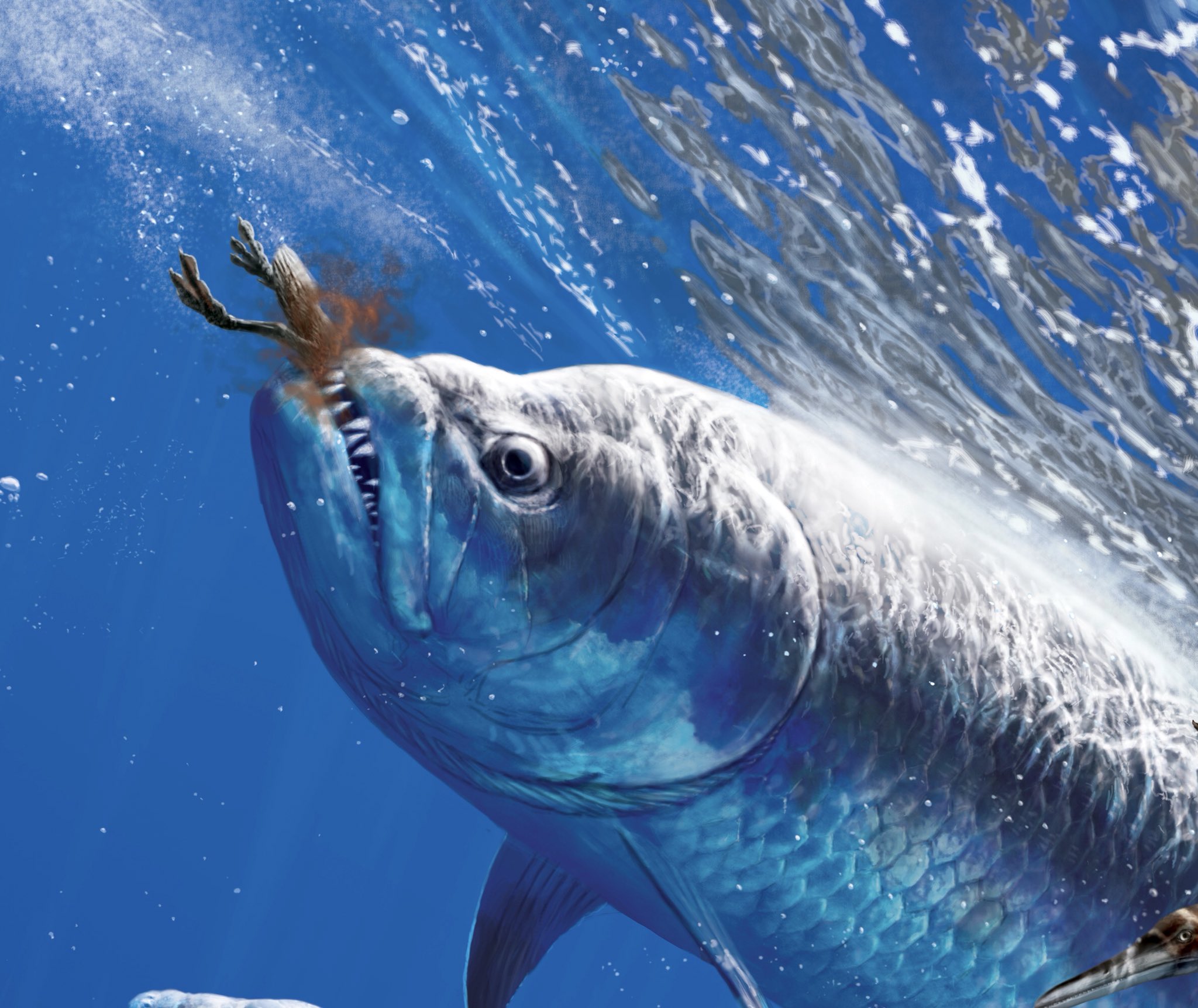 Xiphactinus Fish Fossilized Ecological Interactions Nature Talk