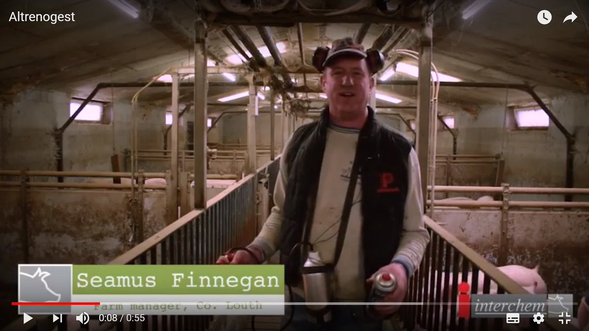 Catalin Dragoi (@cidragoi) | Twitter