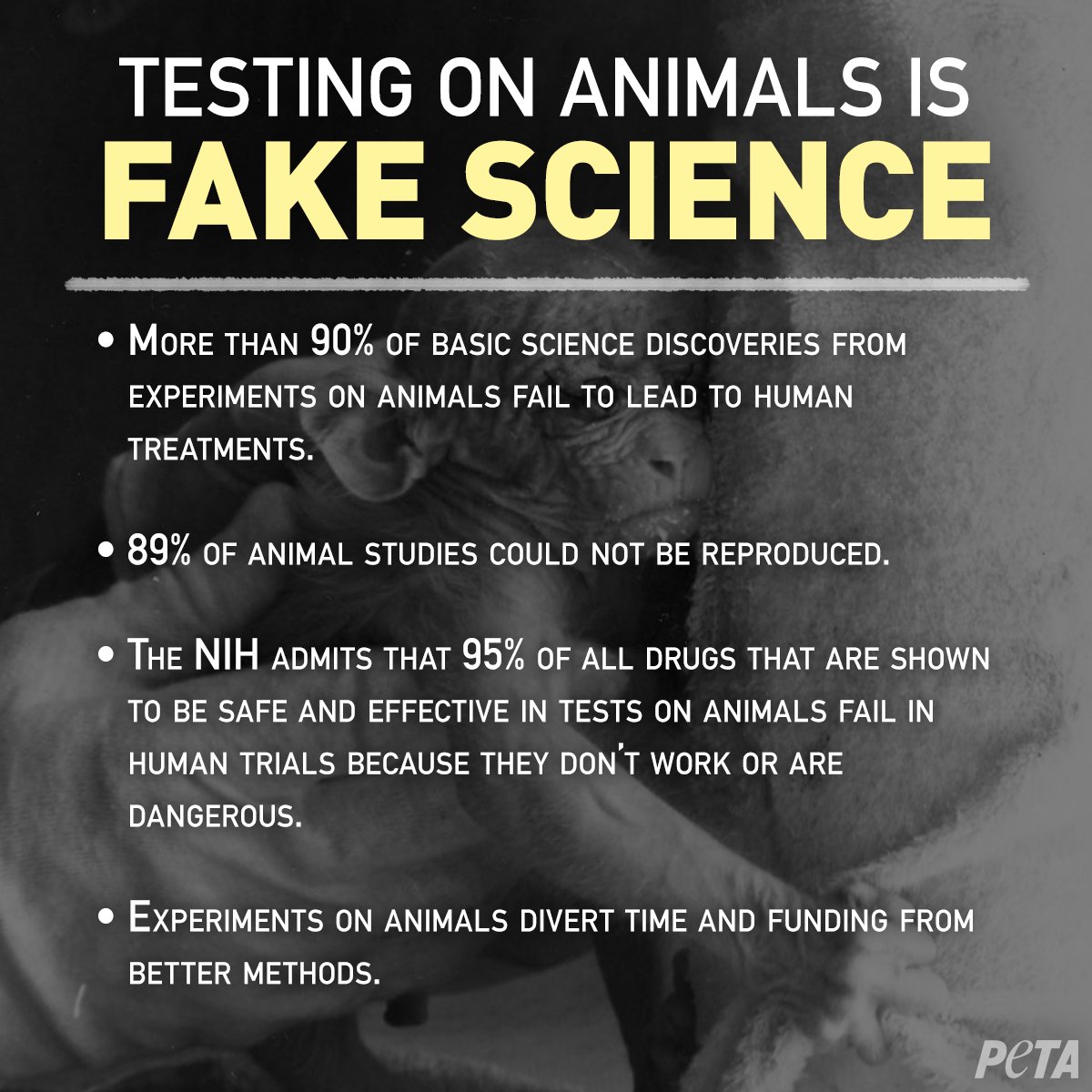 Animal Testing Quotes By Scientists