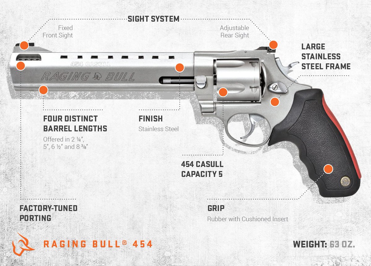 Raging Bull Gun 454