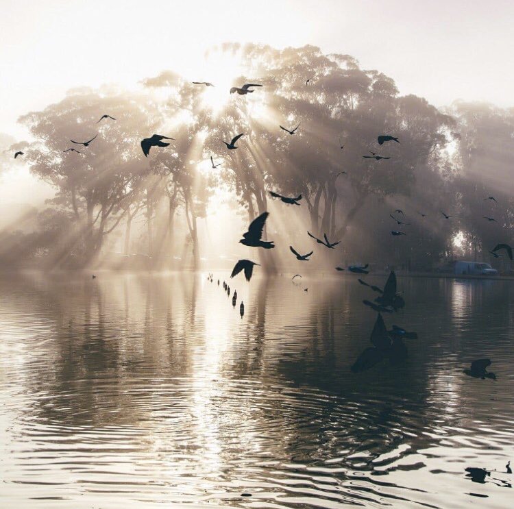 218 best Twitter Rima_talal images on Pholder | اللهم إنك تراه ولا أراه ...