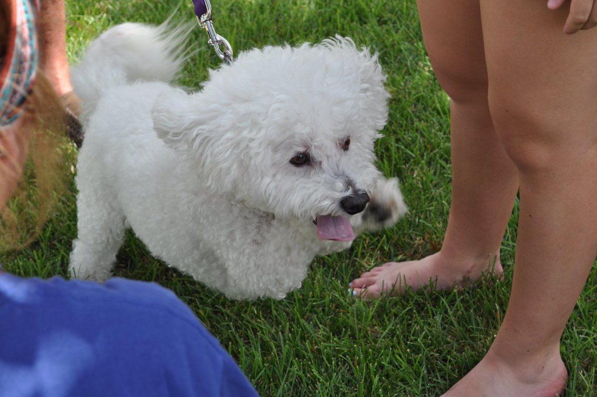 Sevauna Stageman (@stagemanEHS_hub) | Twitter