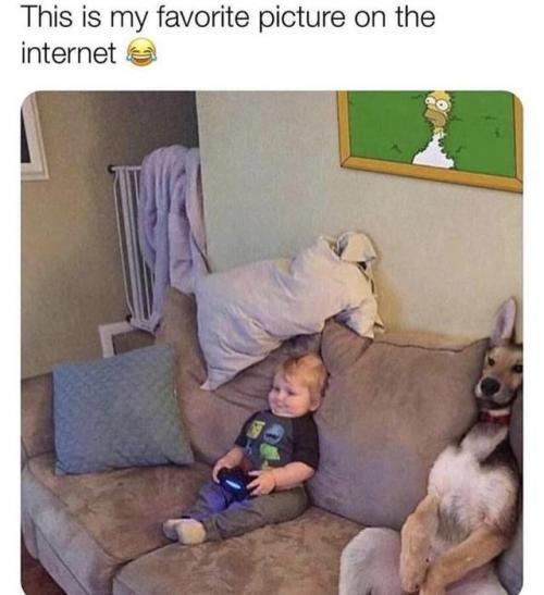 Netflix And Chill Meme Funny
