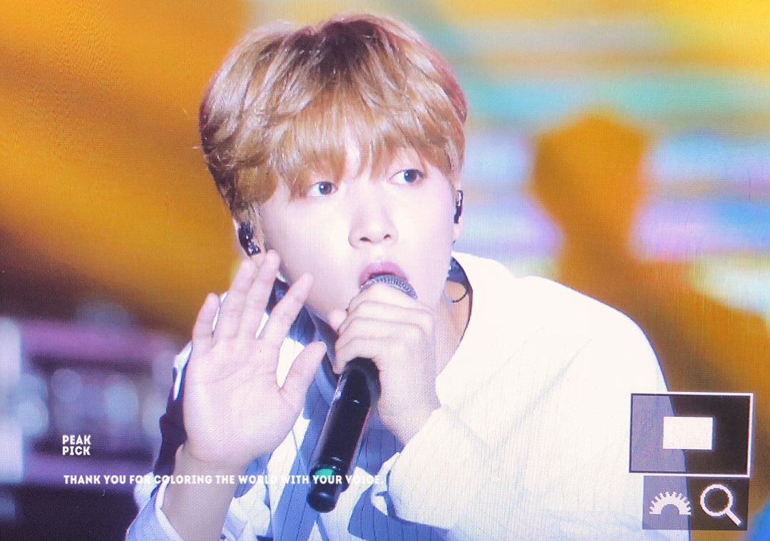 PEAK PICK🍀 (@PEAK_PICK) | Twitter