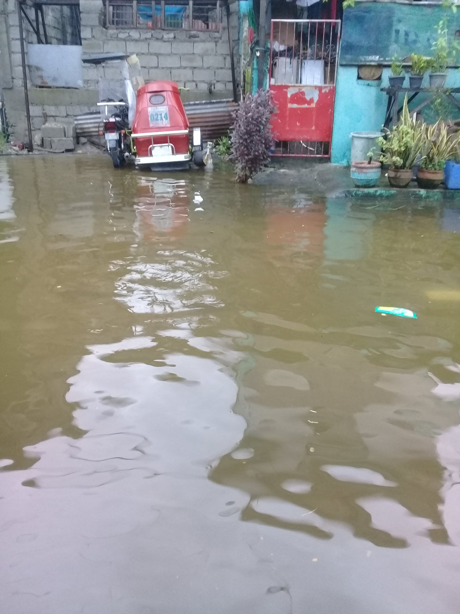 Tubig Baha