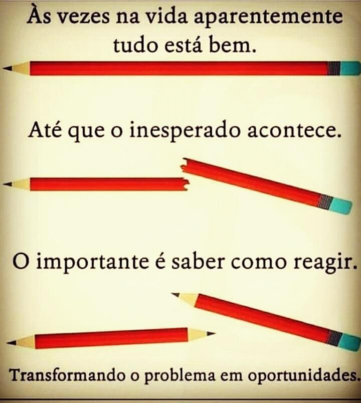 Max Schaefer (@maxi_schaefer) | Twitter