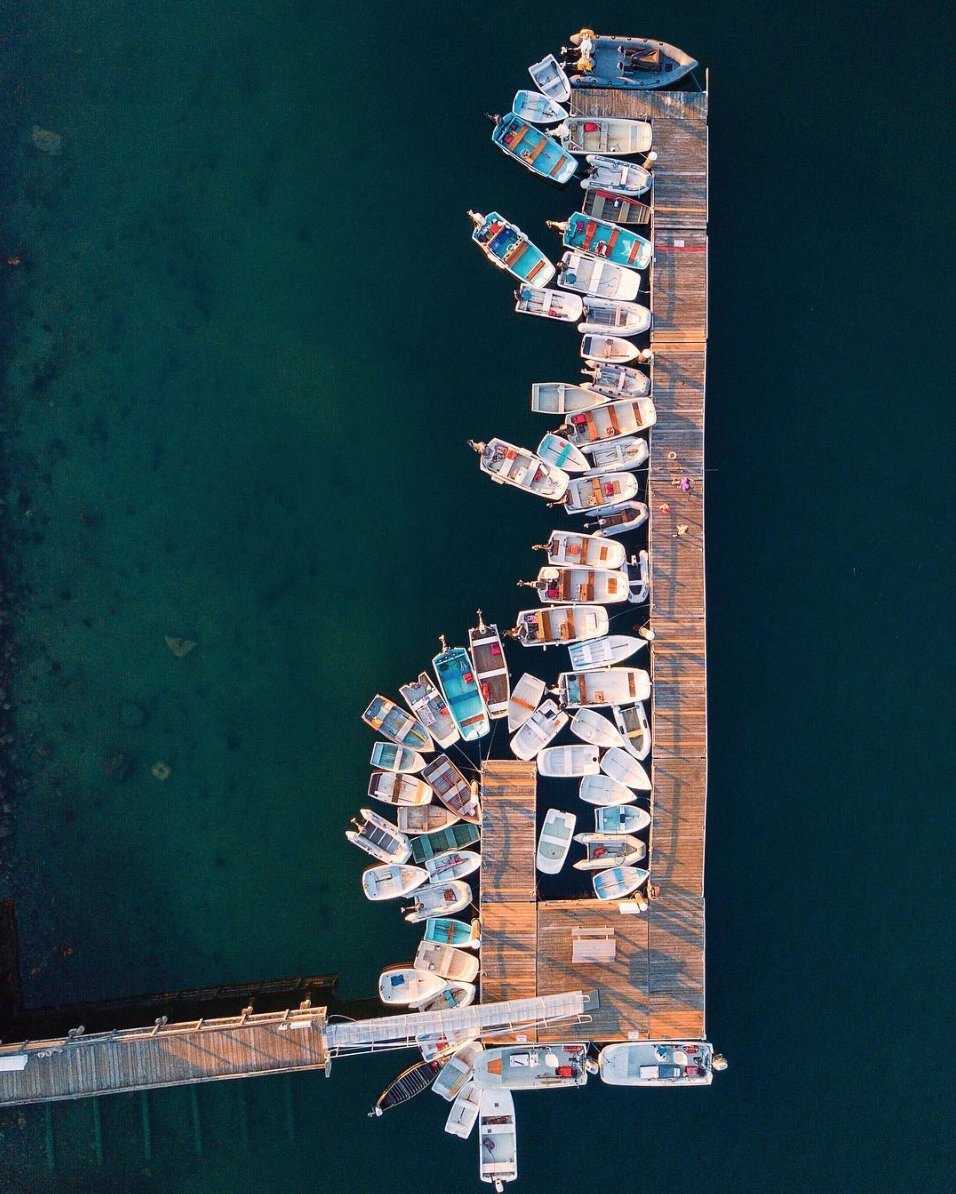 Michelle YOder (@MichelleYOder17) | Twitter