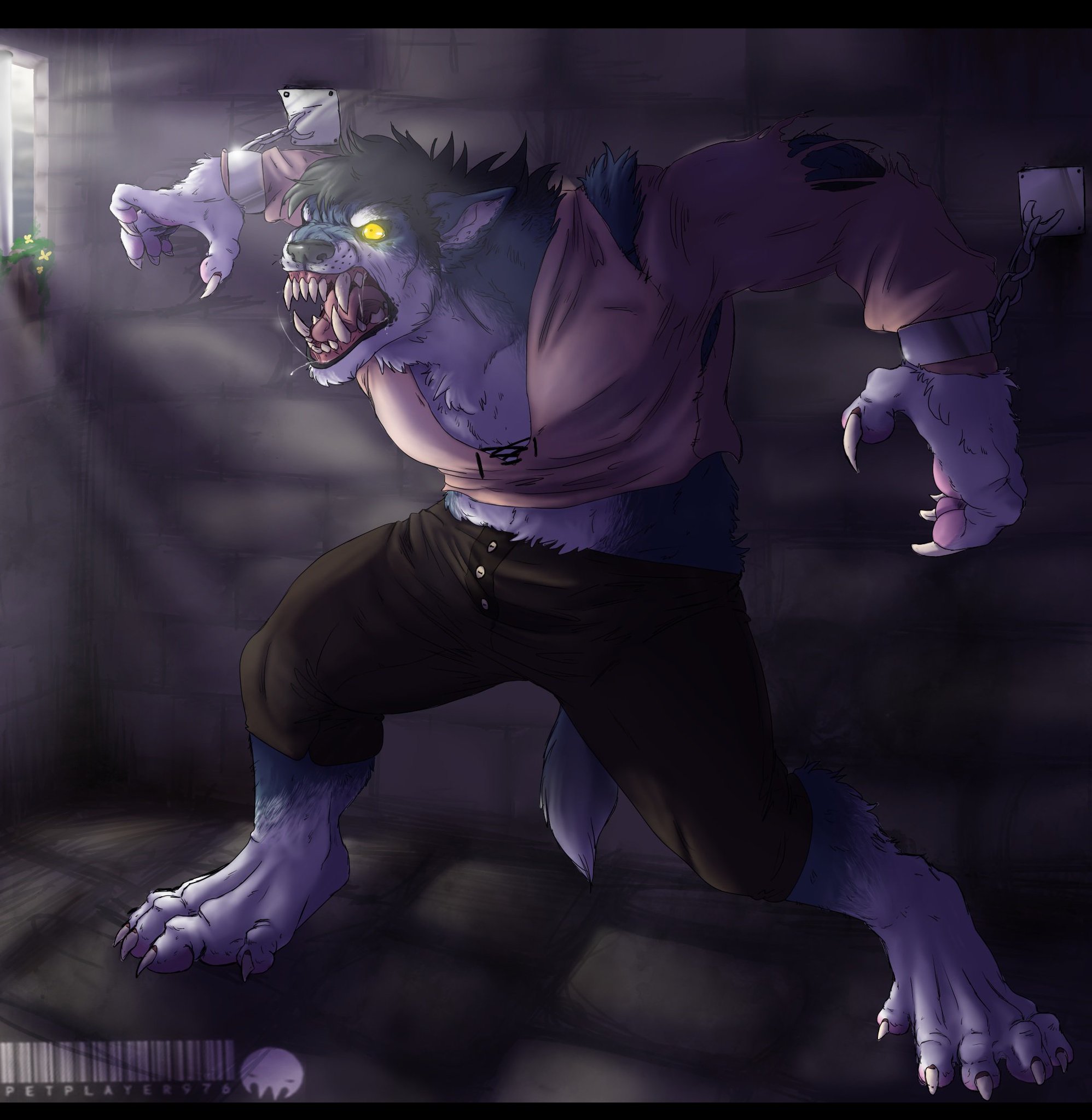 Werefox Transformation