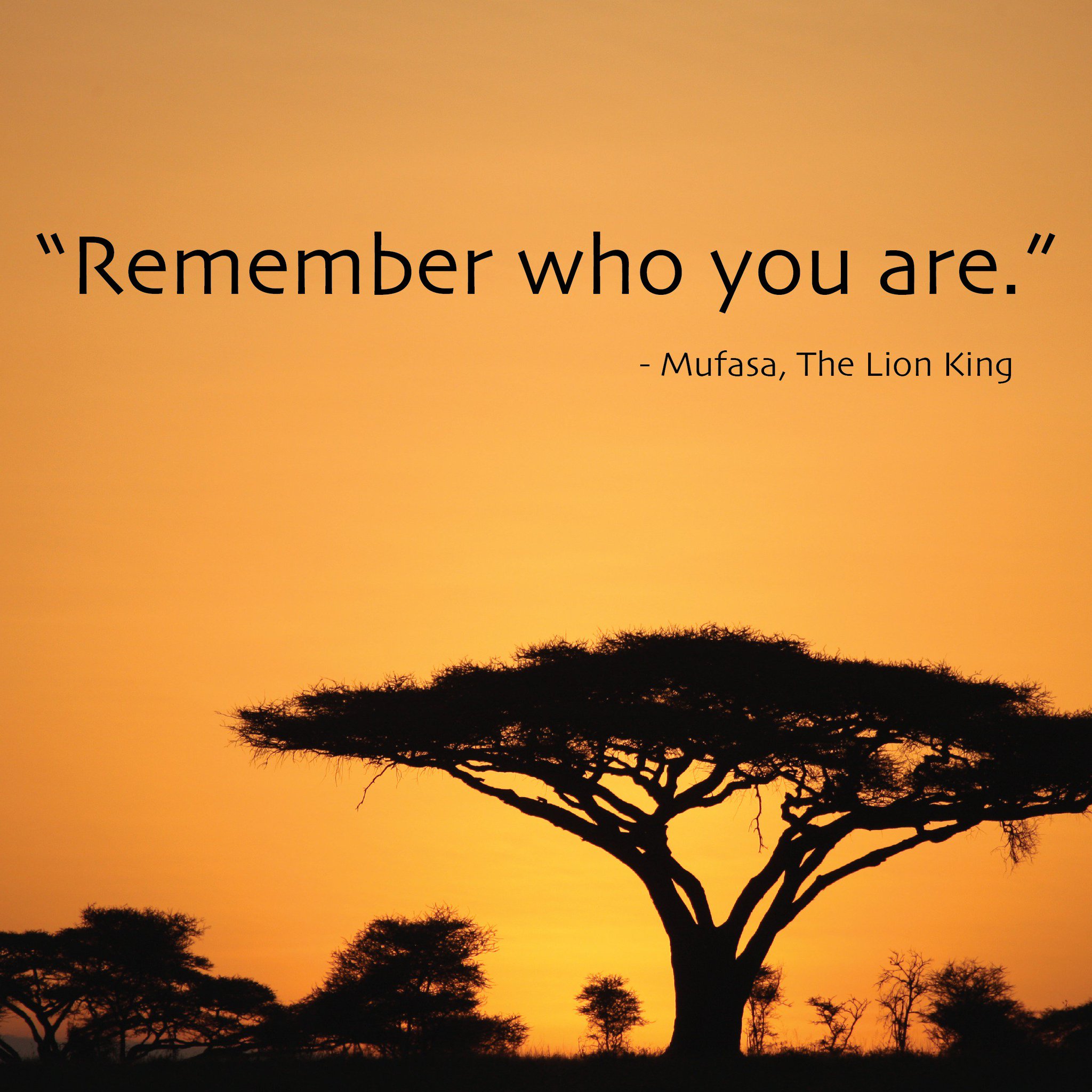 Lion King Quote Remember Who You Are