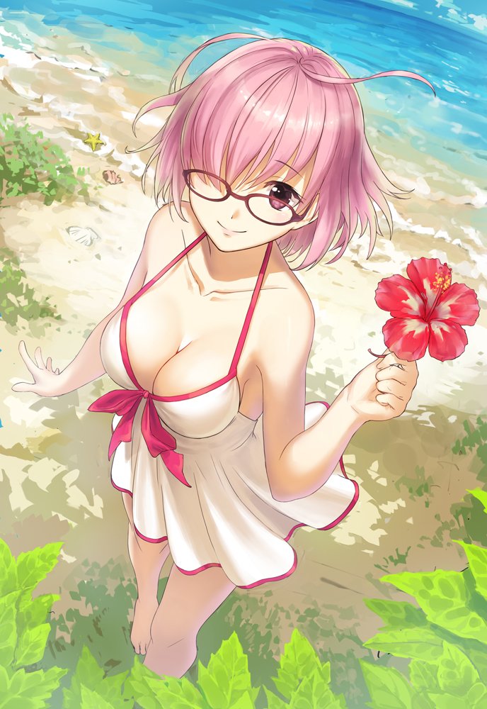 FGO「C94表紙 SummerMemorials #FGO #Fate/GrandOr」|かもめ遊羽🎨のイラスト