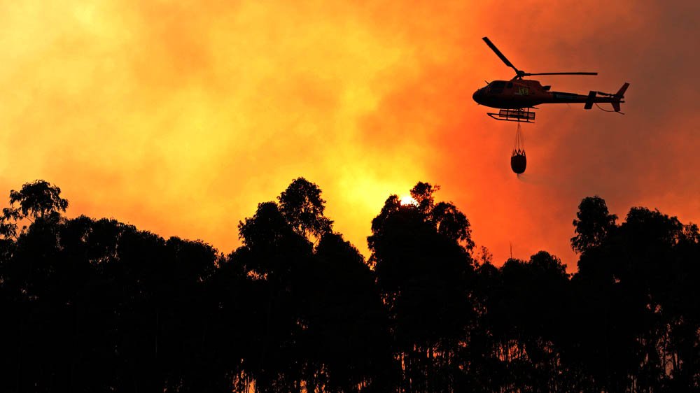Homes And Hotels Evacuated As Portugal Wildfire Burns For Fourth Day ...