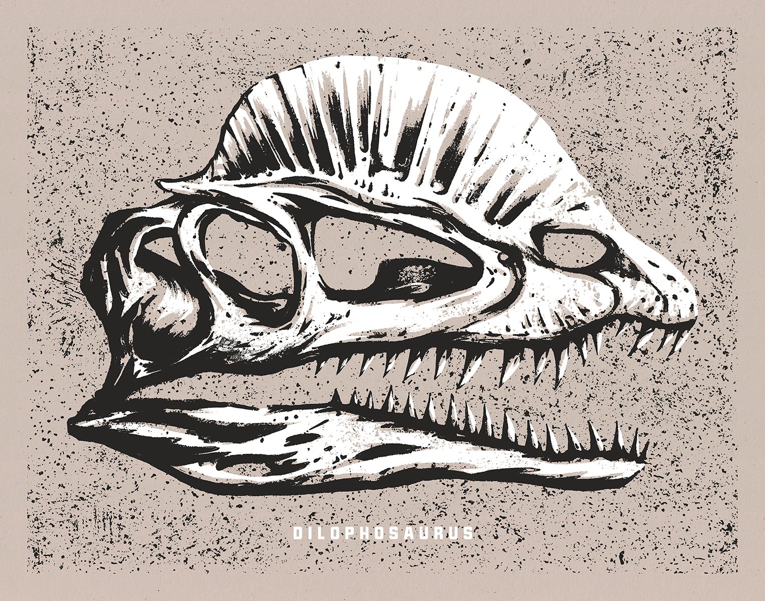 Raptor Skull Drawing