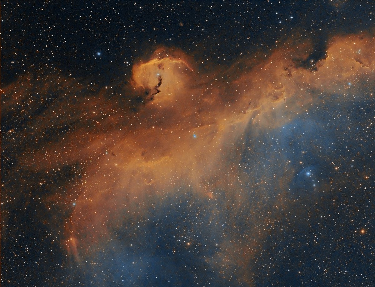 Bird Nebula