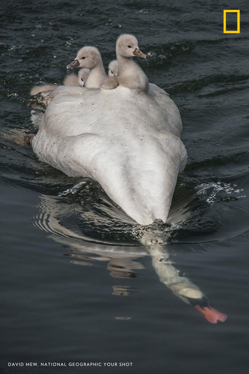 Jason Fenech's Instagram, Twitter & Facebook on IDCrawl