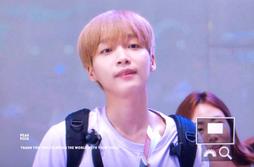 PEAK PICK🍀 (@PEAK_PICK) | Twitter