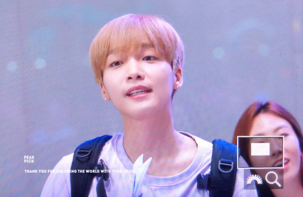 PEAK PICK🍀 (@PEAK_PICK) | Twitter