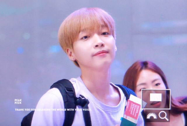 PEAK PICK🍀 (@PEAK_PICK) | Twitter