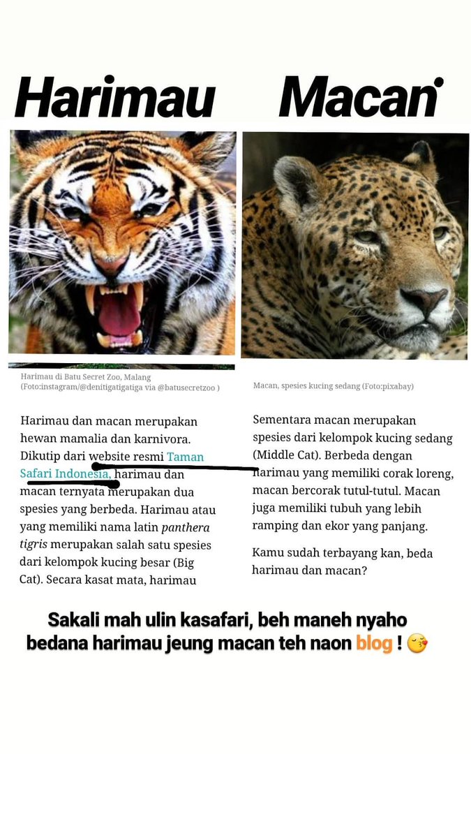 Dendi Rinaldi (@dndrnld) | Twitter